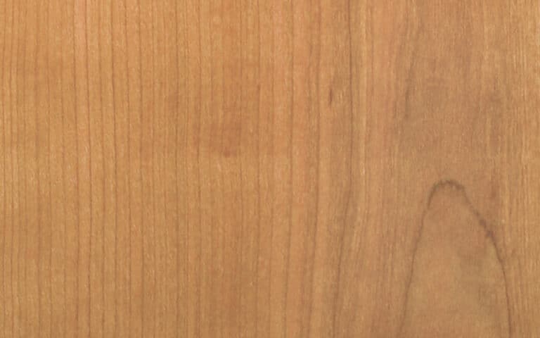 Light Woodgrain Laminates – Dendra Doors