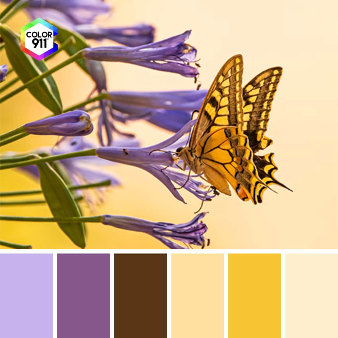 Color911 – Color in Design – Dendra Doors